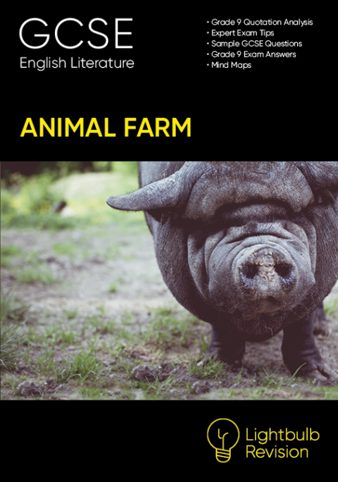 Animal Farm | lightbulb revision