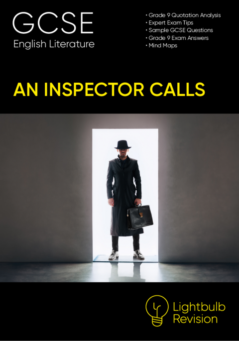 Inspector Goole | lightbulb revision